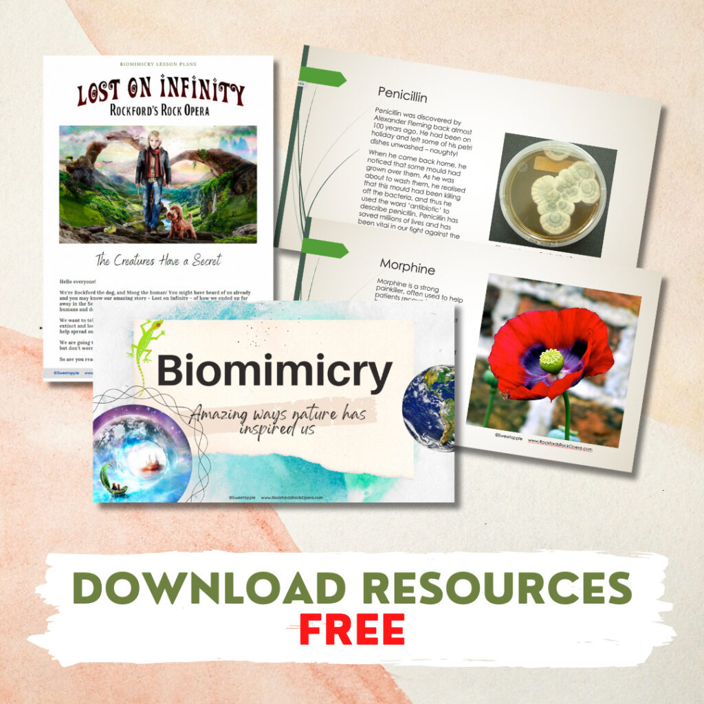 Free Biomimicry Lesson Plans and Slides (PDF Download)