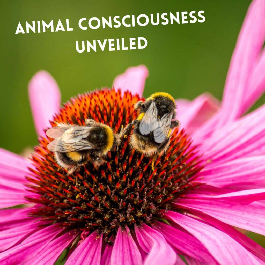 Rethinking Animal Consciousness - Rockford's Rock Opera - Children's ...