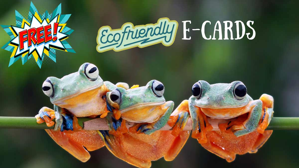 E-Cards - Rockford's Rock Opera - Children's Audiobooks