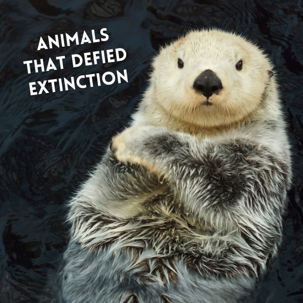 Animals That Have Defied Extinction