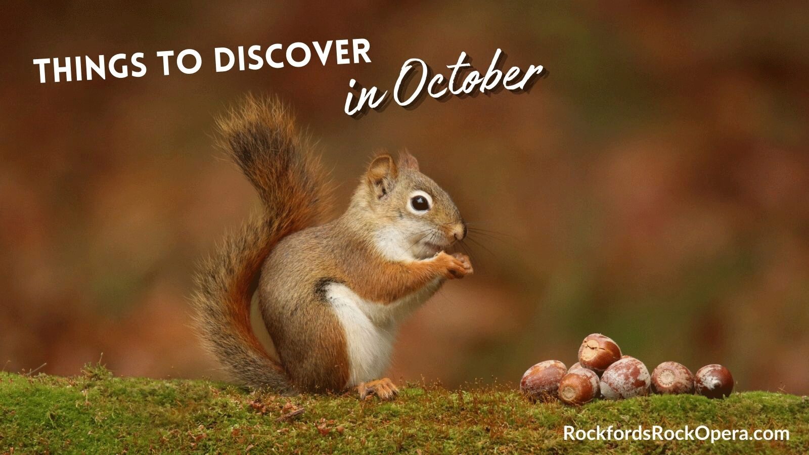 Amazing Things to Discover - Exploring Nature in October