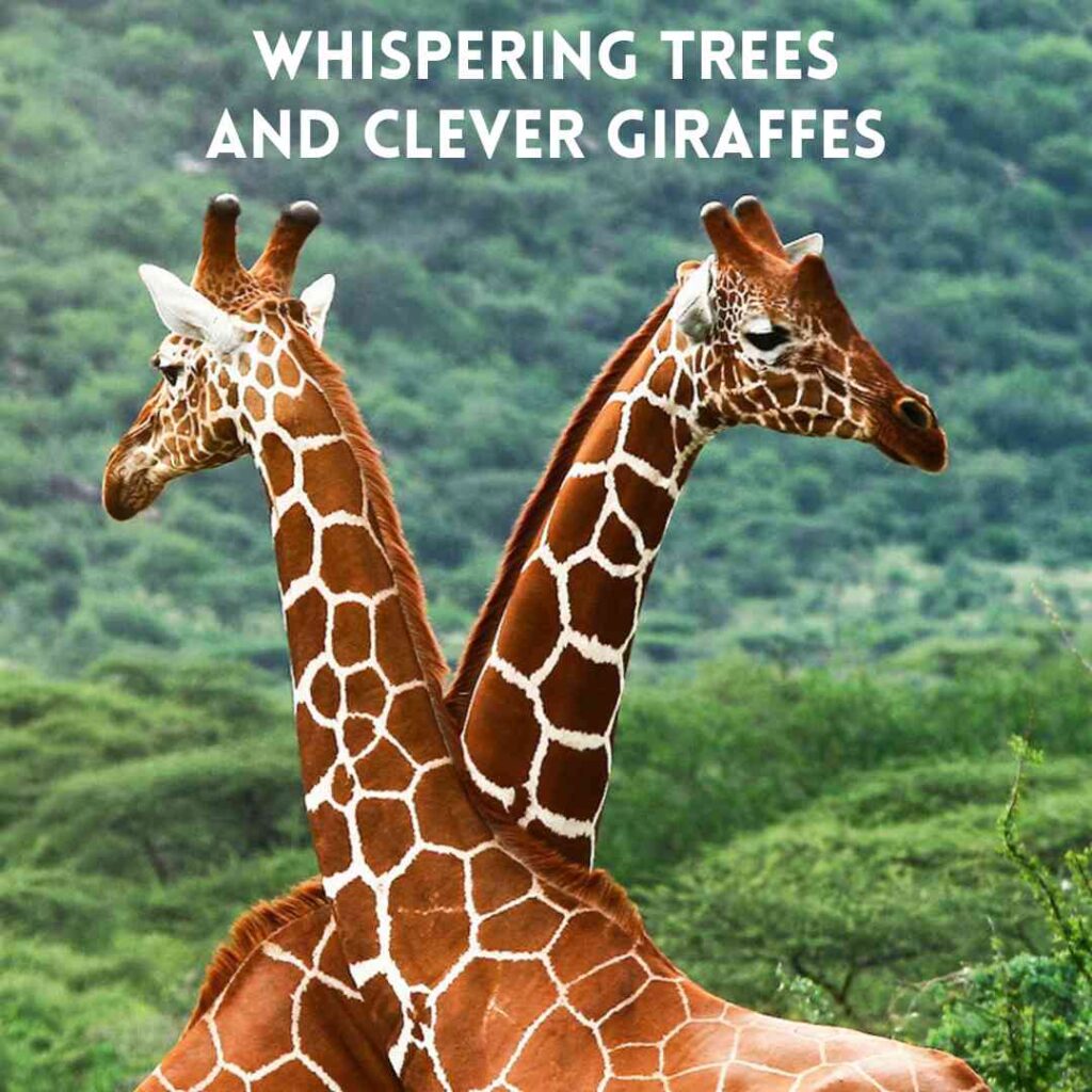 Whispering Trees and the Clever Giraffes