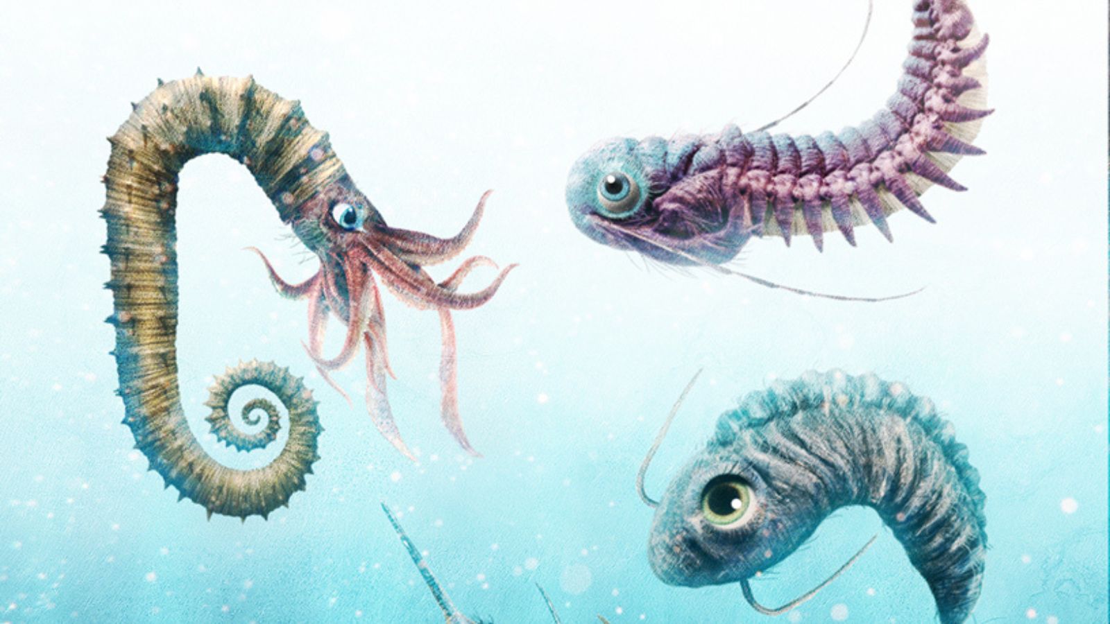 Fossil Record Office – Secrets of the Deep Past